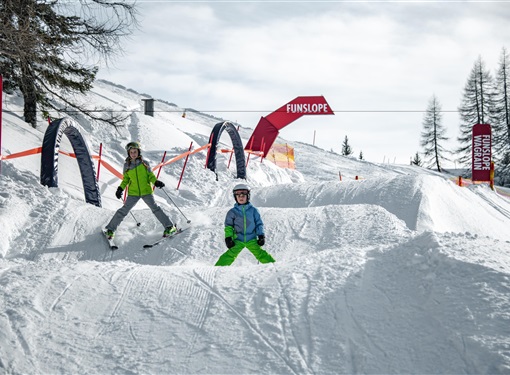 Wagrainis Grafenberg in Wagrain | Wagrain-Kleinarl Tourismus