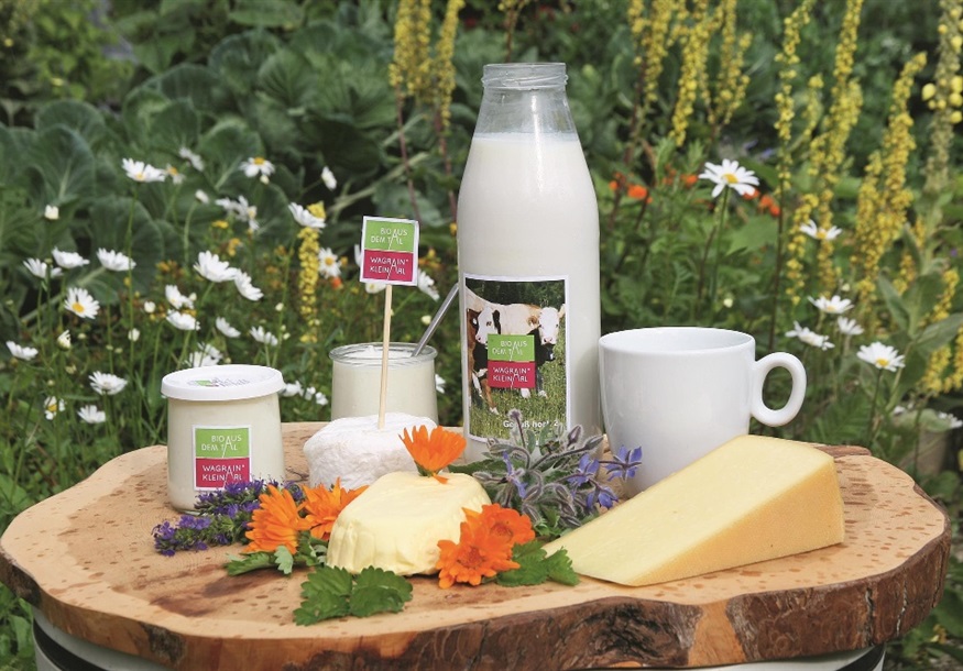 Penkkopf - der Magier (712) | Wagrain-Kleinarl Tourismus